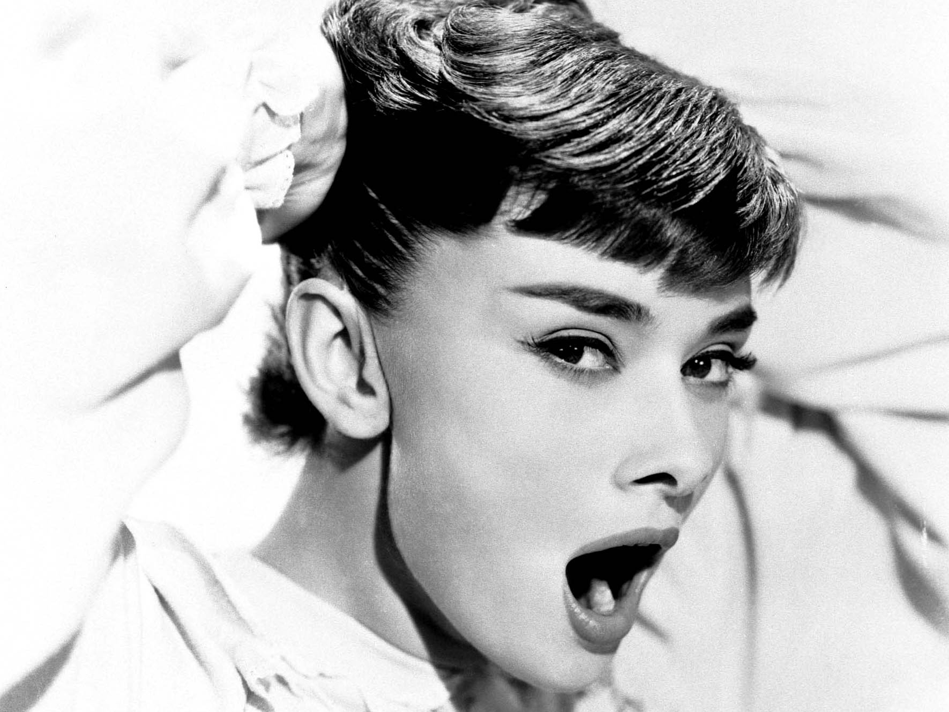 55 Stunningly Beautiful Actresses From The 50 s 60 s And 70 s Page